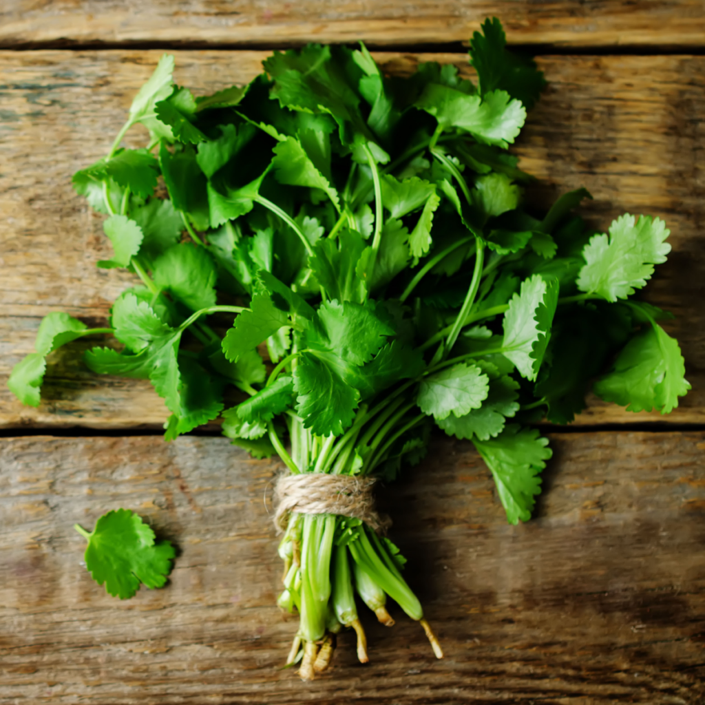 Spices & Herbs - TheVegFusion